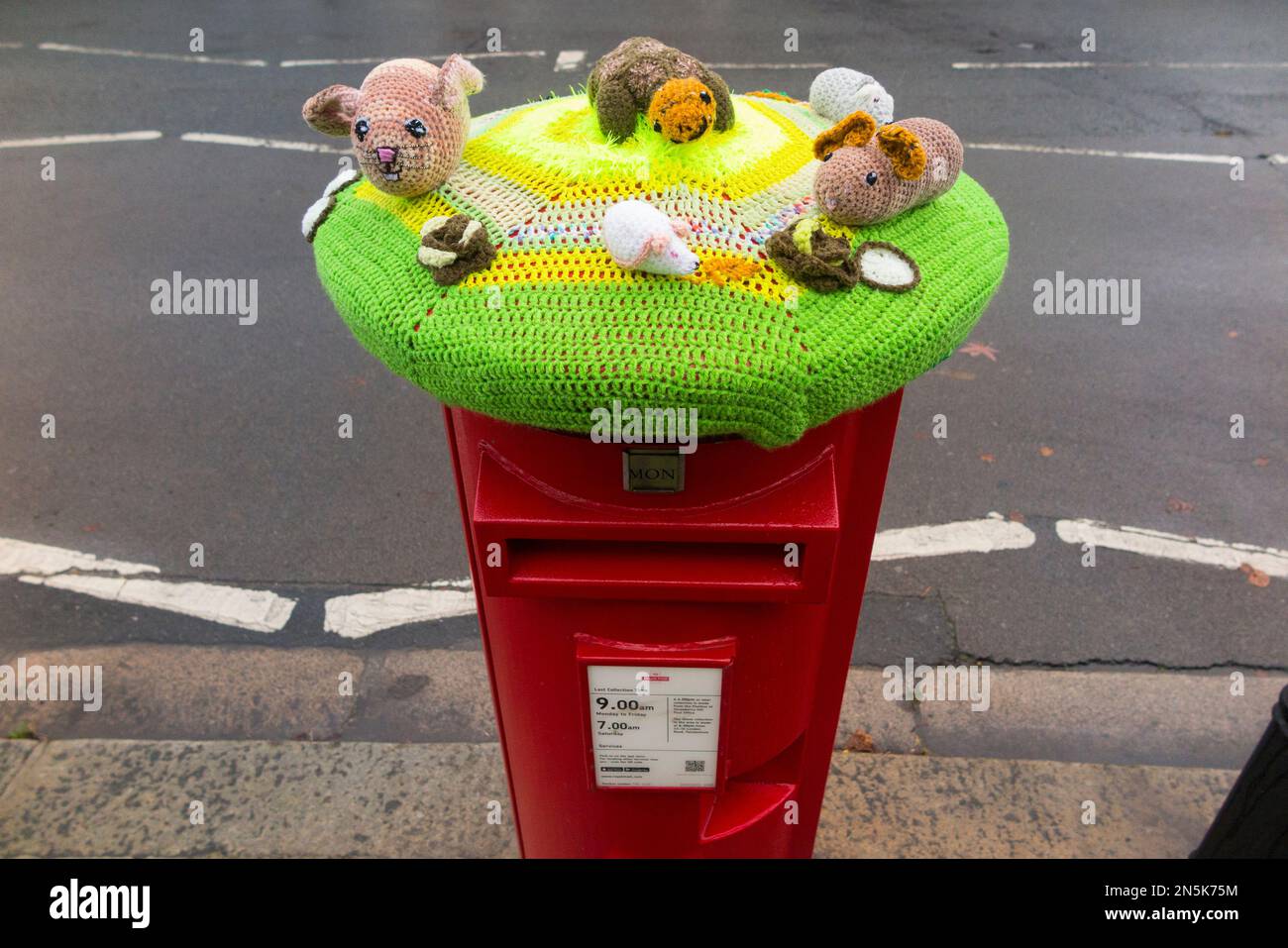 An animal welfare knitted hat topper cap fitted onto the top of a late ...