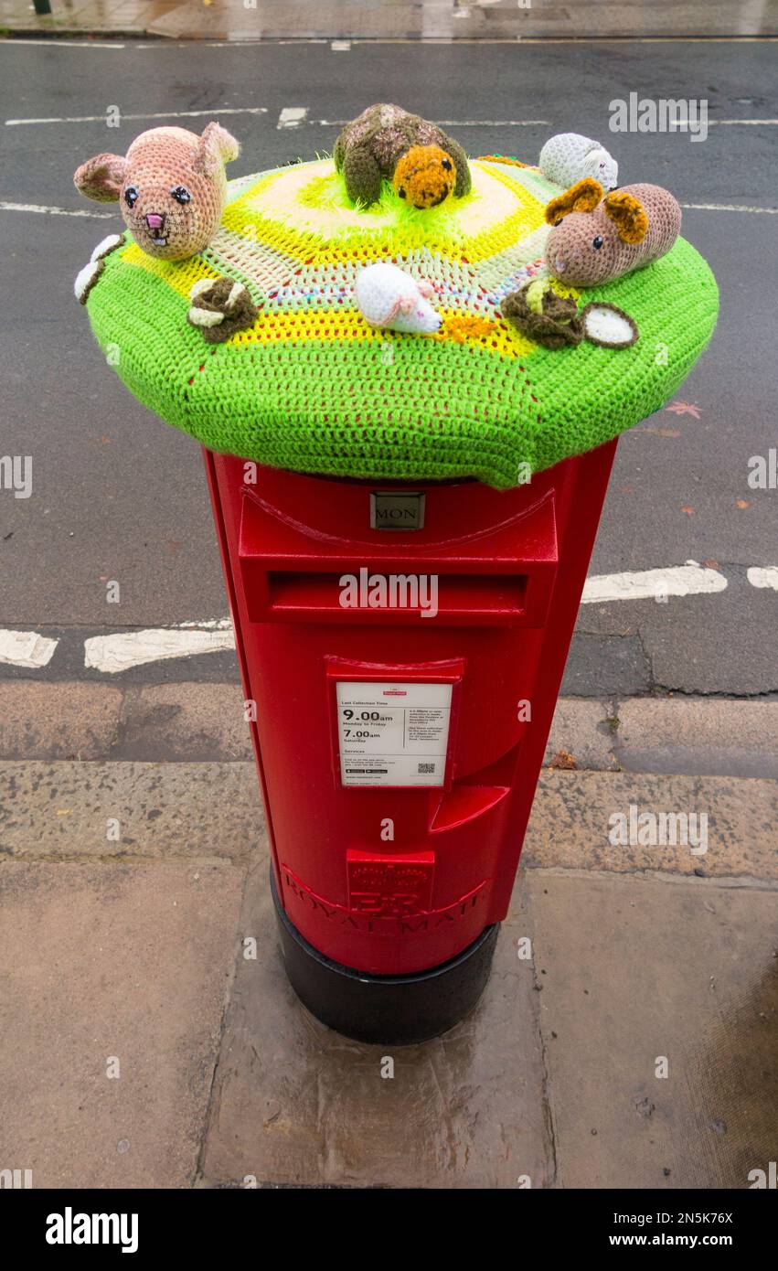 An animal welfare knitted hat topper cap fitted onto the top of a late ...
