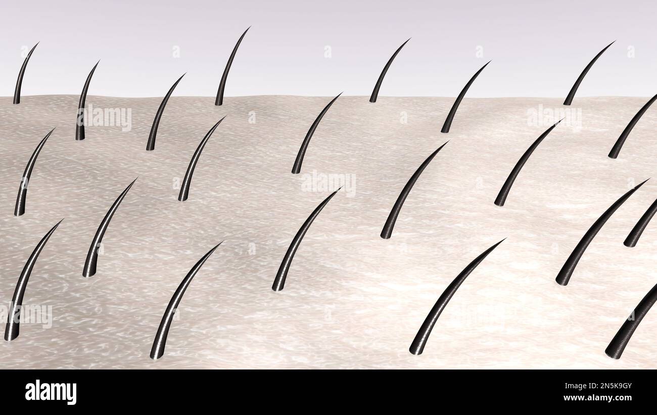 Body hair. Healthy white clean young human skin with hairs. 3D rendered ...