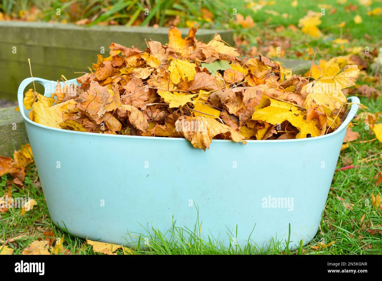 Two identical containers hi-res stock photography and images - Alamy