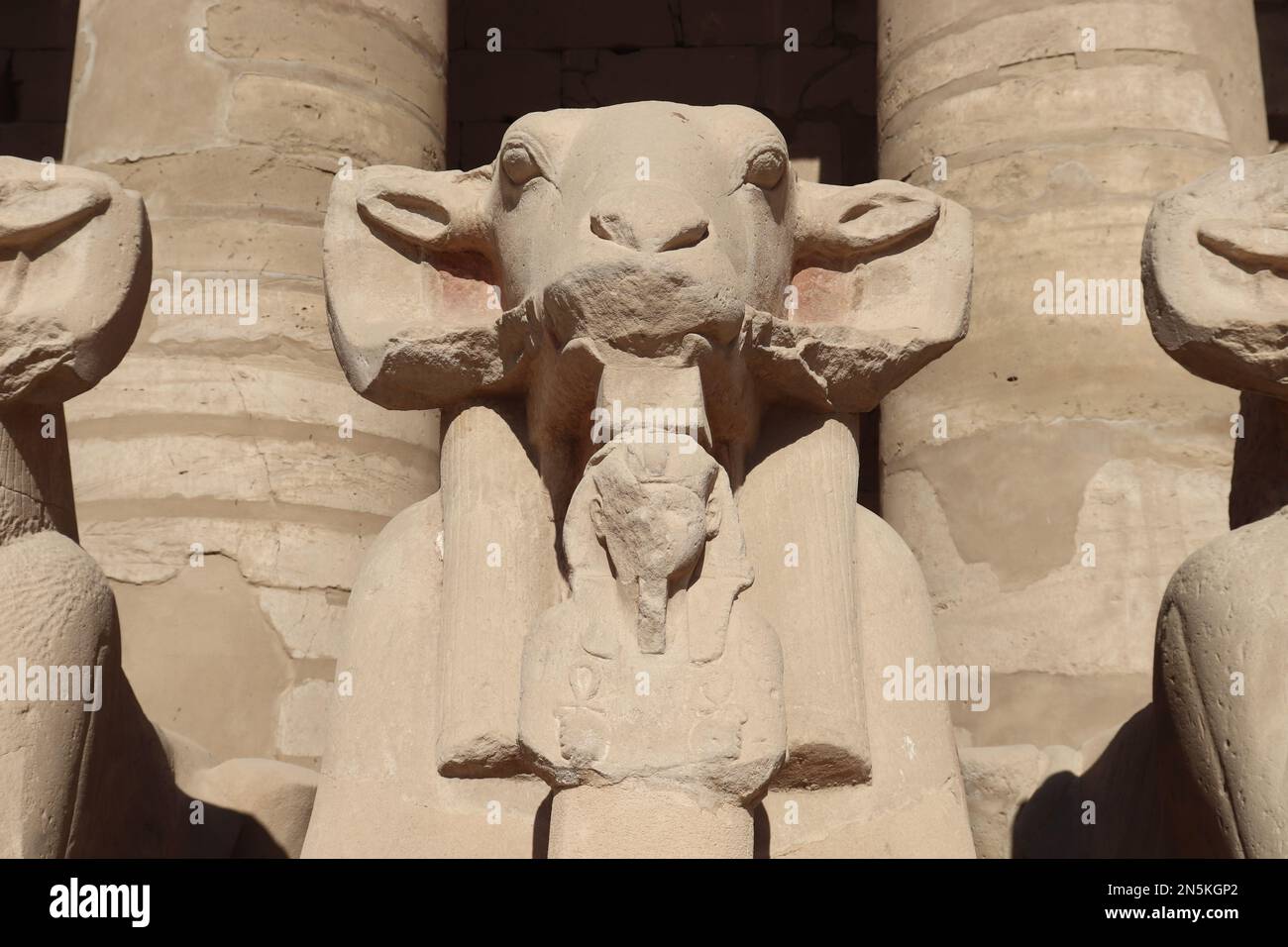 Ram-headed sphinx statues at Karnak temple in Luxor, Egypt Stock Photo ...