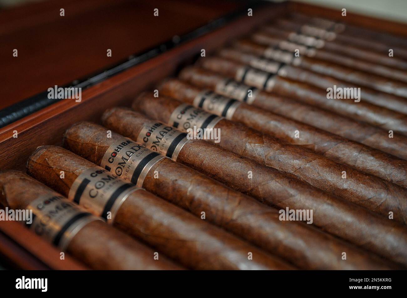 Guests of Rise & Fly Grammy viewing party enjoy a Comador Cigars in Los ...
