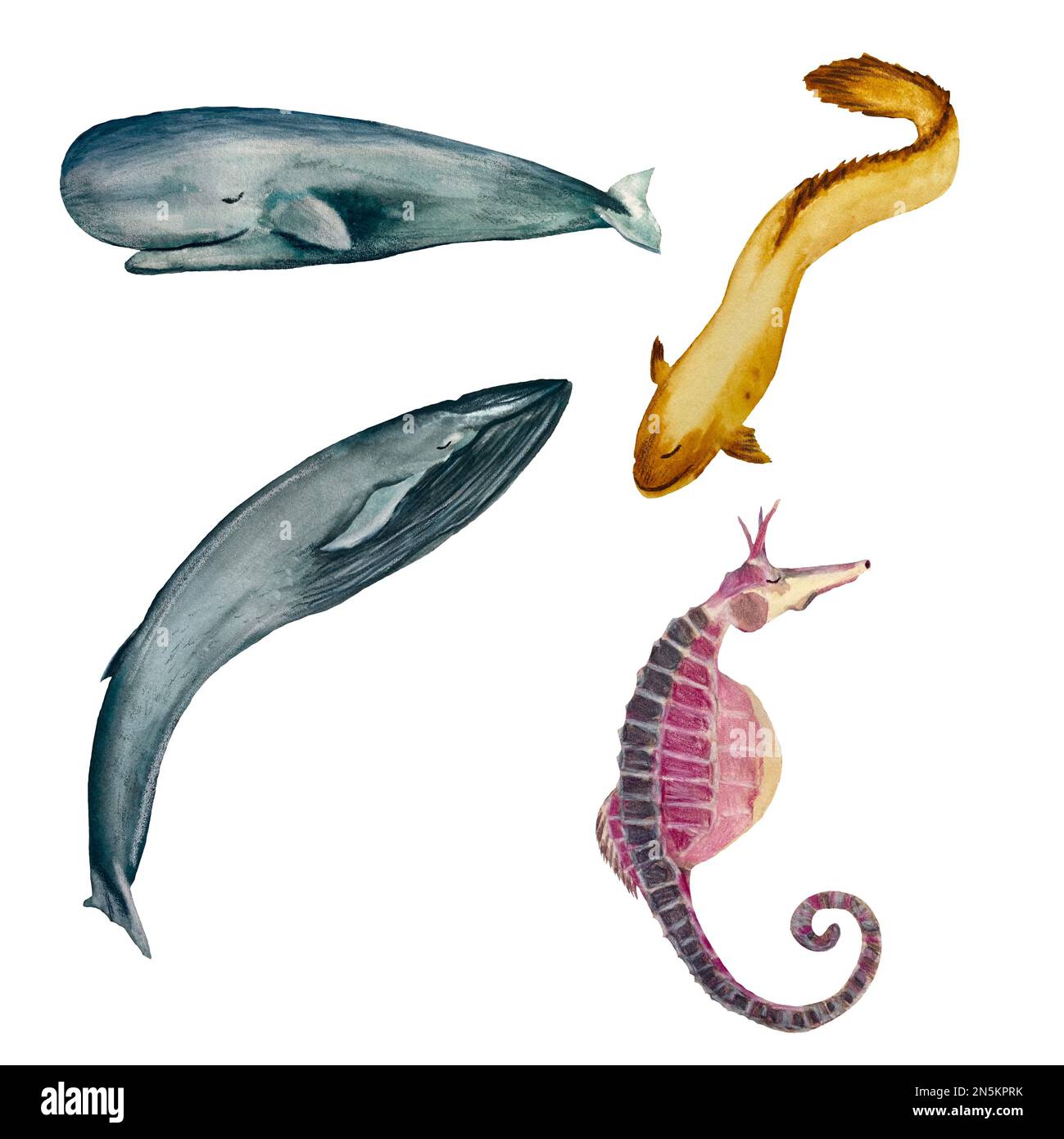 Eel whale sea horse a watercolor illustration Stock Photo - Alamy