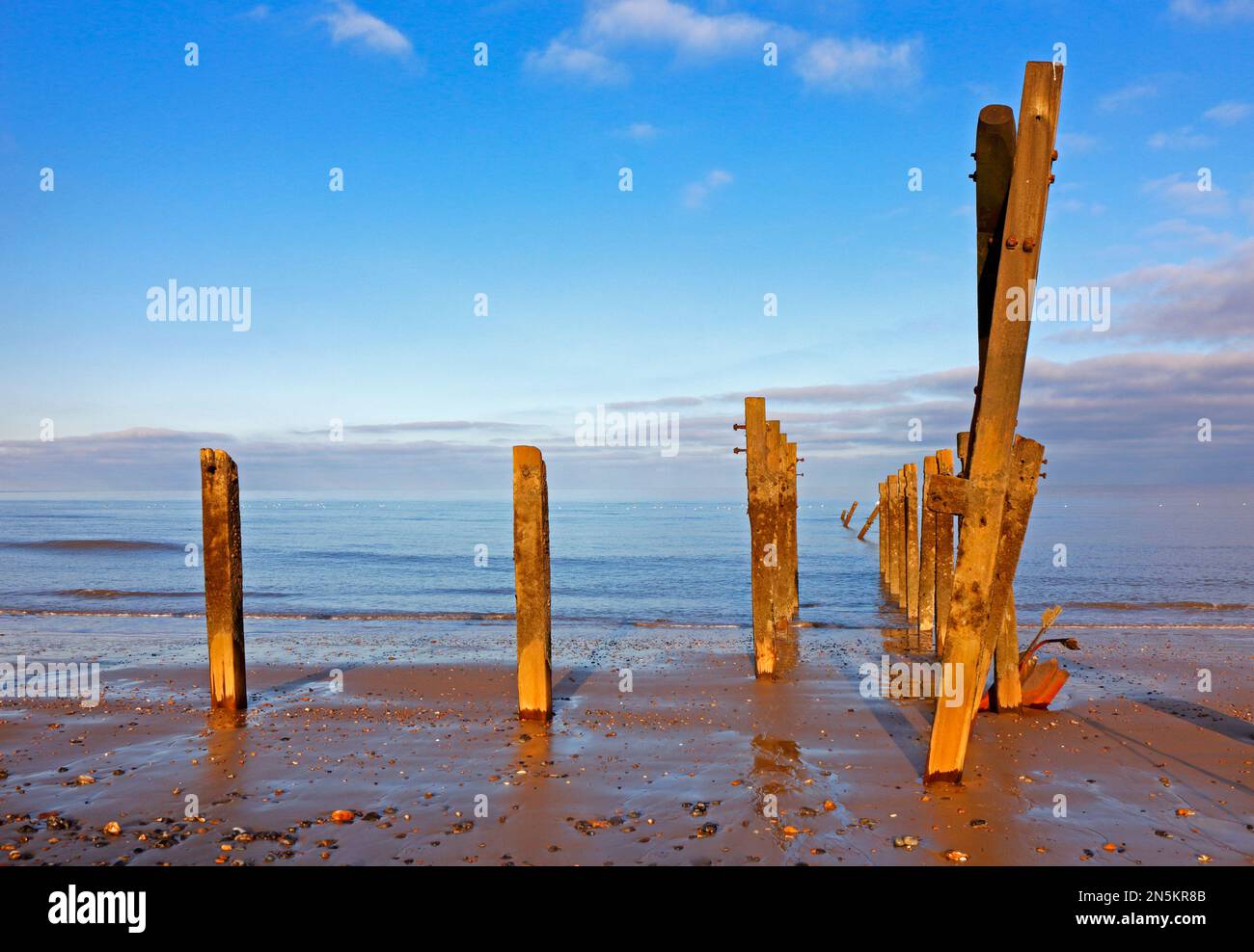 A view of upright timber posts which are the remains of abandoned sea ...