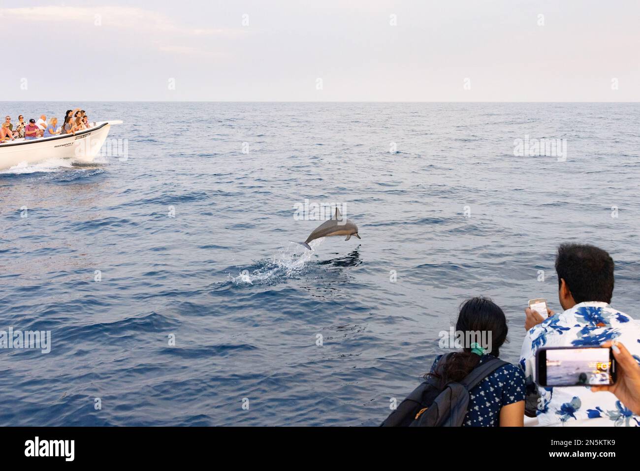 Asia travel - tourists dolphin watching from boats, with dolphin ...
