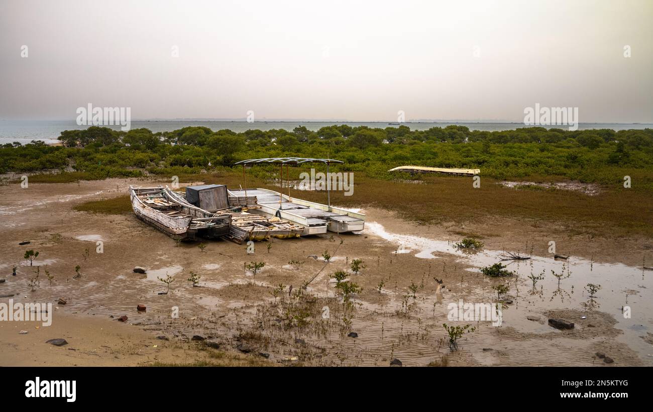 Traditional wooden fishing boats stranded at low tide next to a young ...