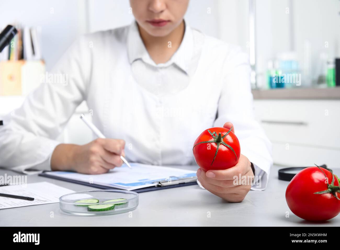 Scientist with tomato at table in laboratory, closeup. Poison detection ...