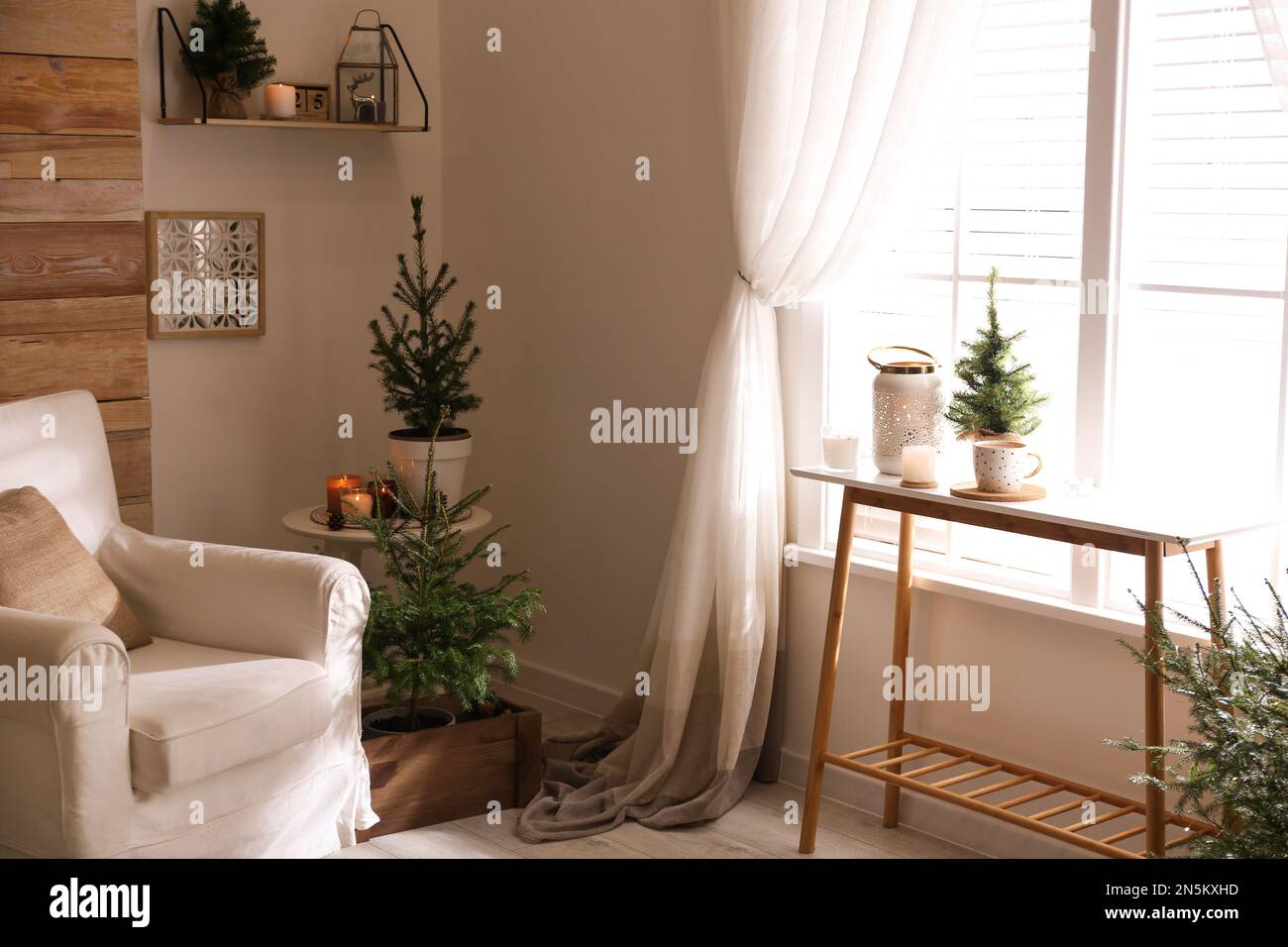 Potted fir trees in living room. Christmas interior design Stock Photo ...
