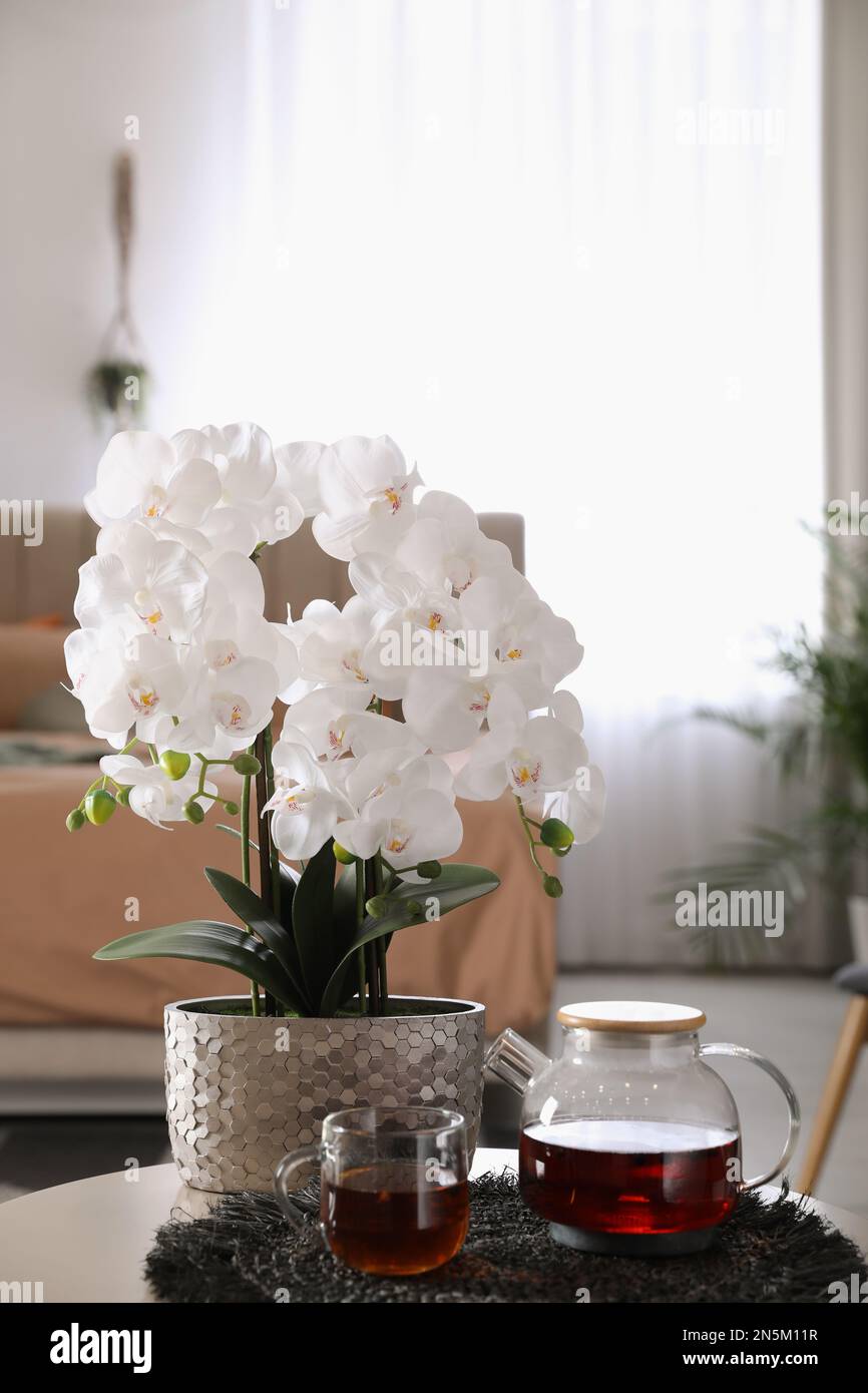 Beautiful white orchids and tea set on table in room Stock Photo - Alamy