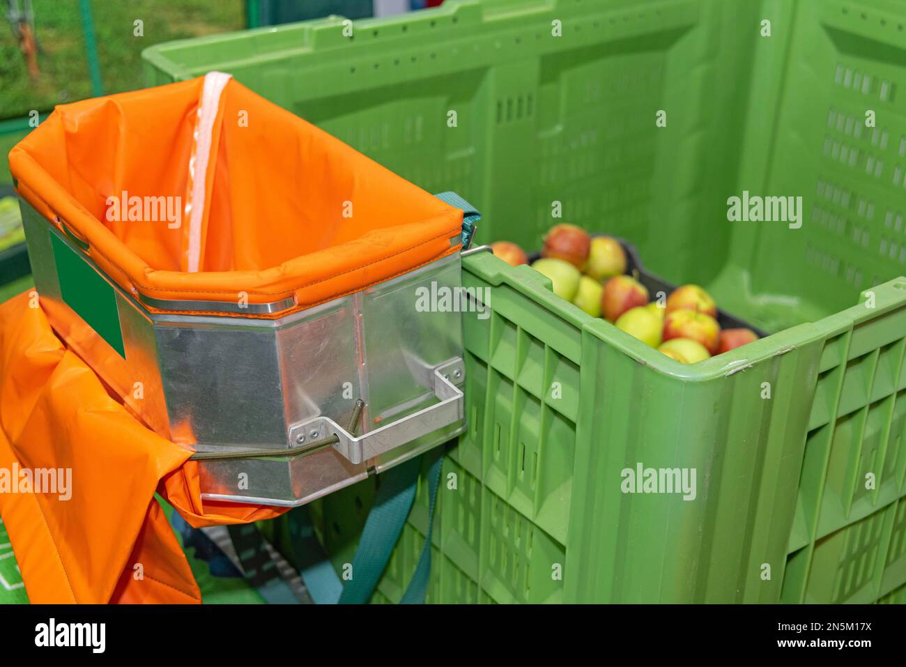 Fruit Picking Bucket With Apples in Plastic Crate Farm Stock Photo - Alamy