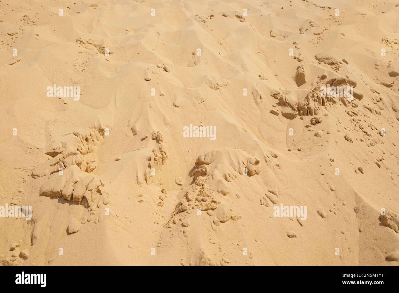 Dry sand in desert on sunny day as background Stock Photo - Alamy