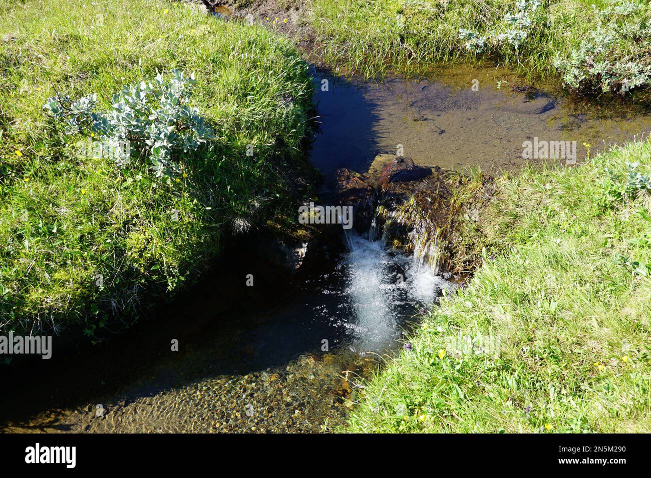 Small stream in Swedish mountains with clear, cold and drinkable water ...