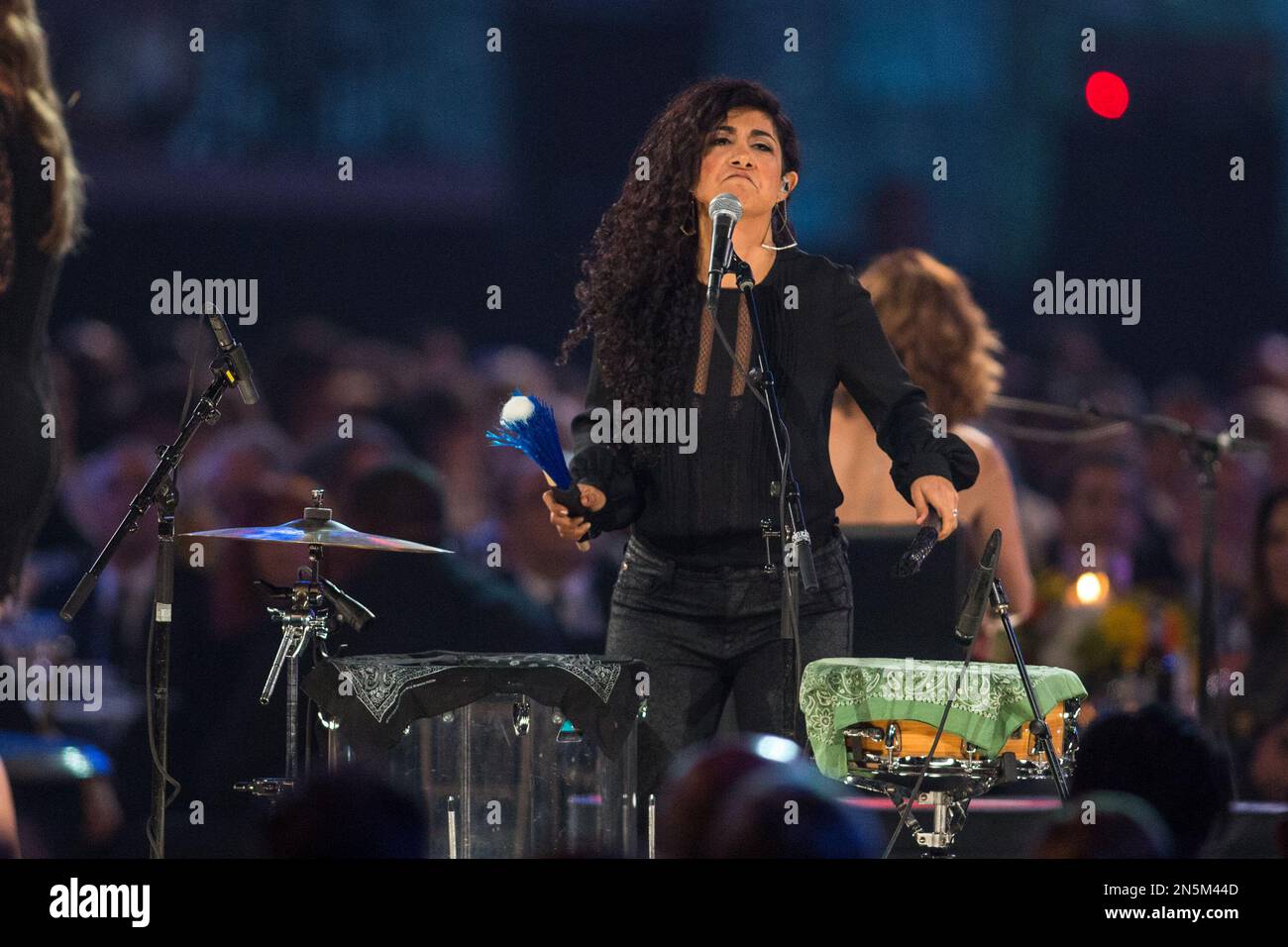 Mona Tavakoli, of Raining Jane, performs on stage at the MusiCares 2014 Person of the Year ...