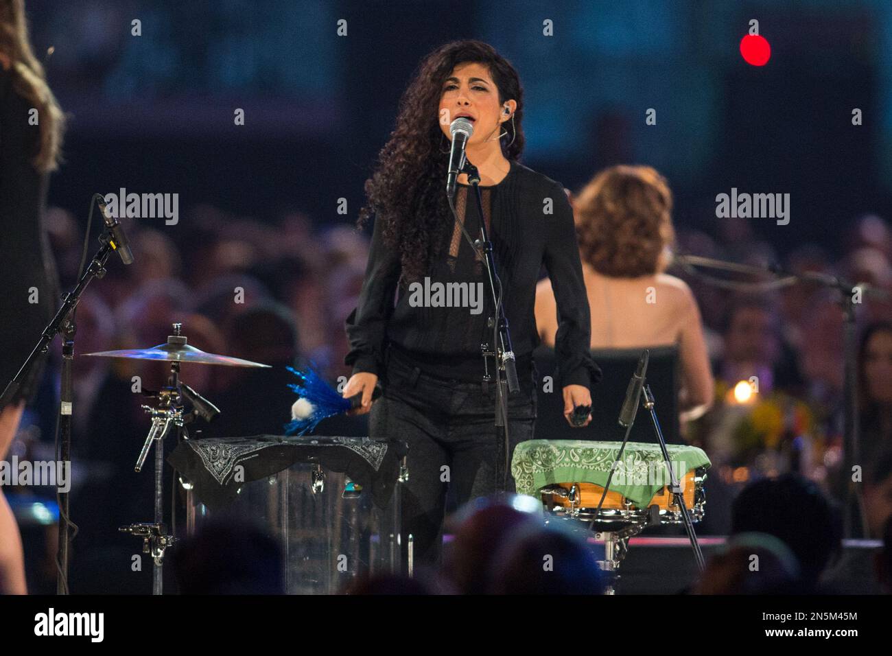 Mona Tavakoli, of Raining Jane, performs on stage at the MusiCares 2014 Person of the Year ...