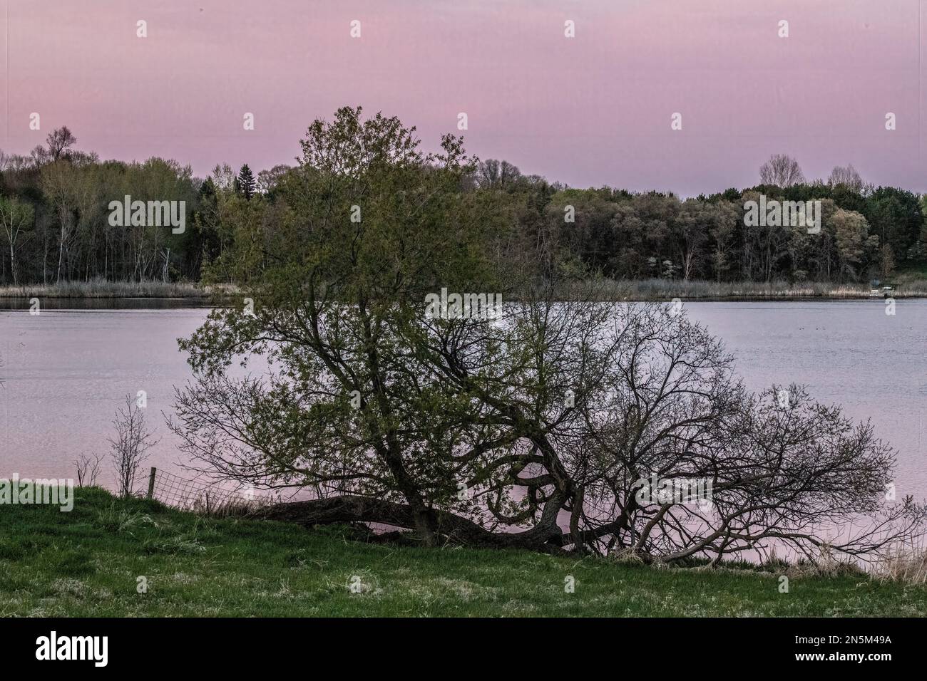 Trees bordering Moody Lake at sunset in the spring in Chisago City ...