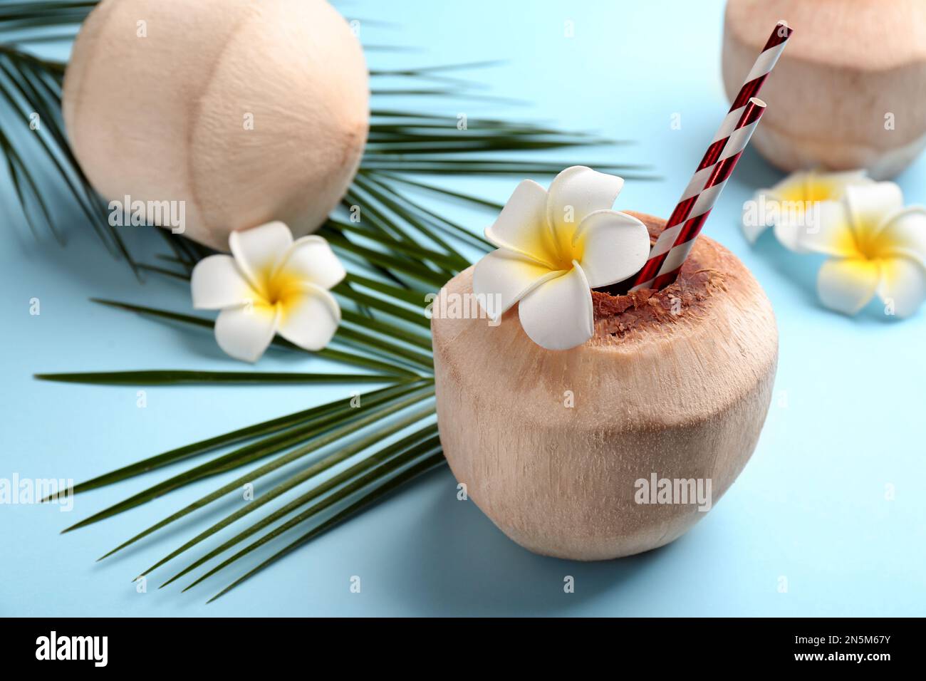 Fresh coconut with drinking straws and flowers on light blue background ...