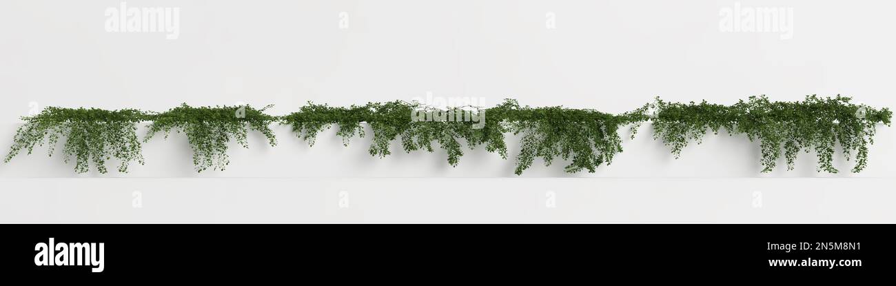 3d illustration of hanging tree isolated on white background Stock ...