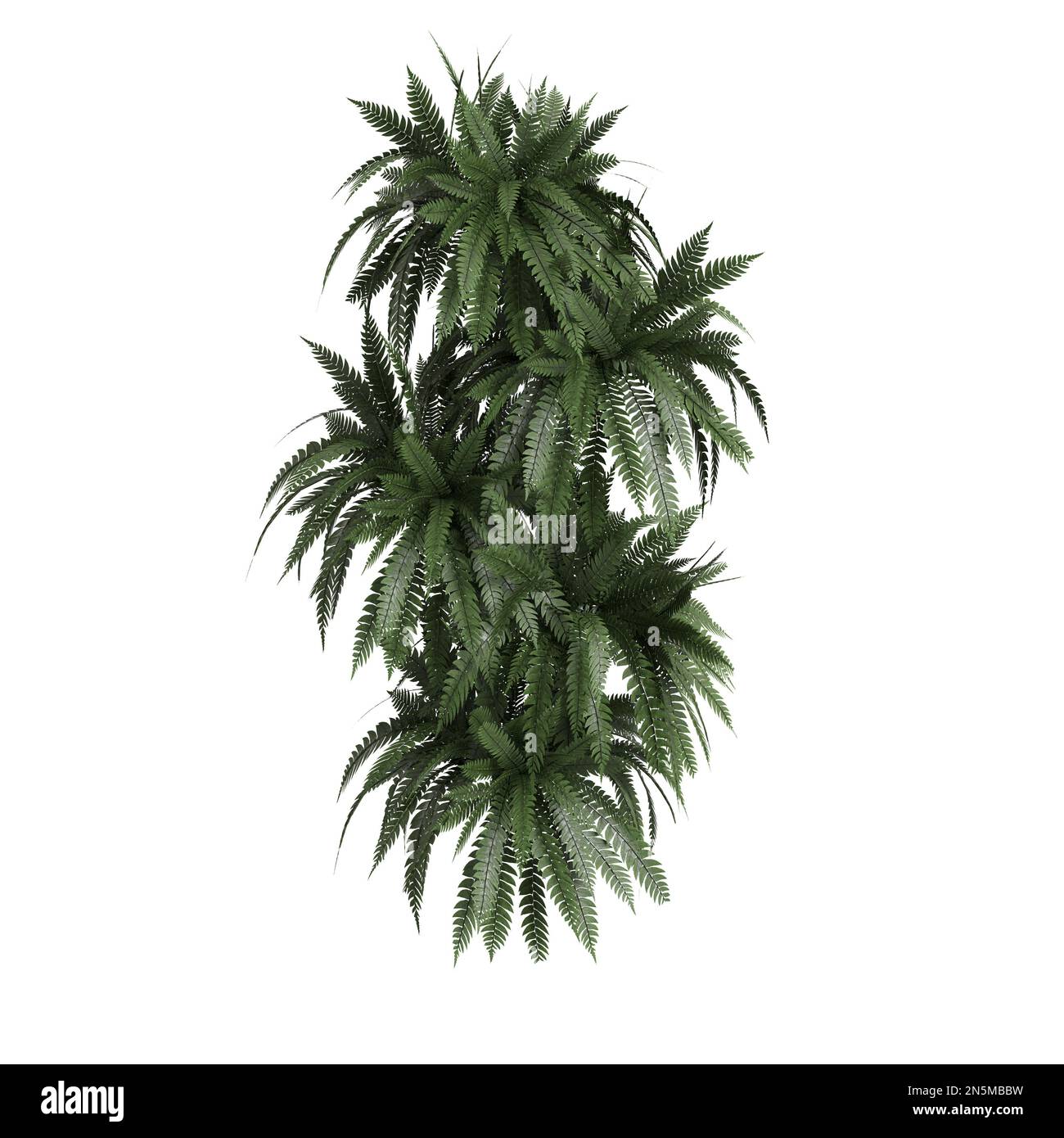 3d illustration of wall tree isolated on white background Stock Photo ...