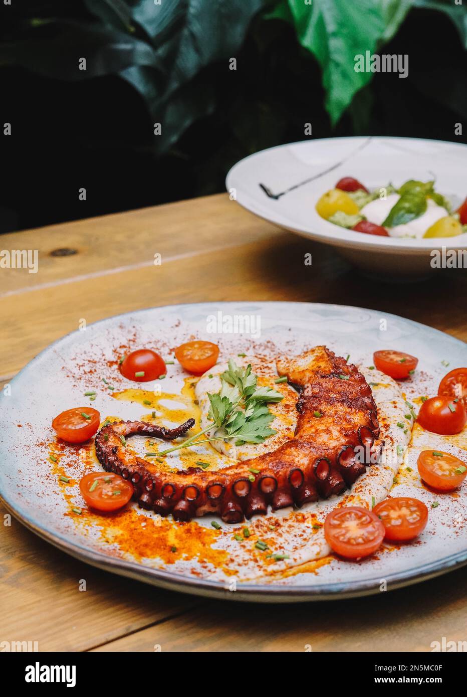 Octopus tentacle gourmet serving in a French restaurant Stock Photo - Alamy
