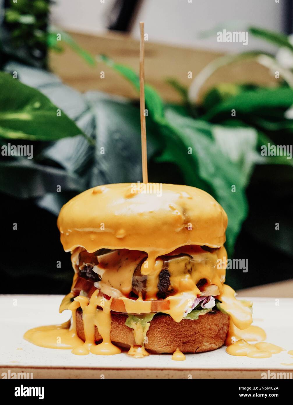 Tremendous double burger with extra cheddar cheese Stock Photo - Alamy