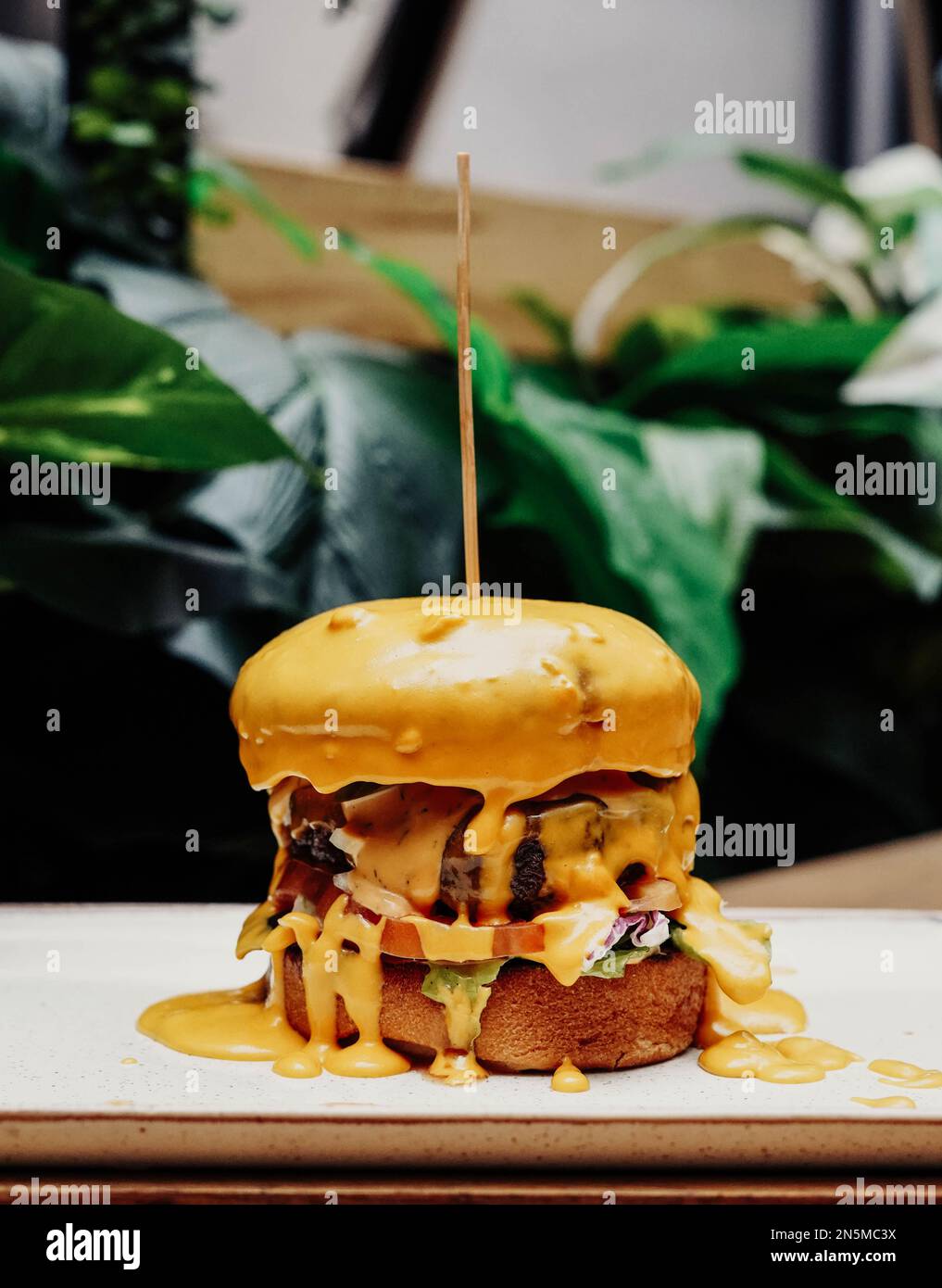 Tremendous double burger with extra cheddar cheese Stock Photo - Alamy