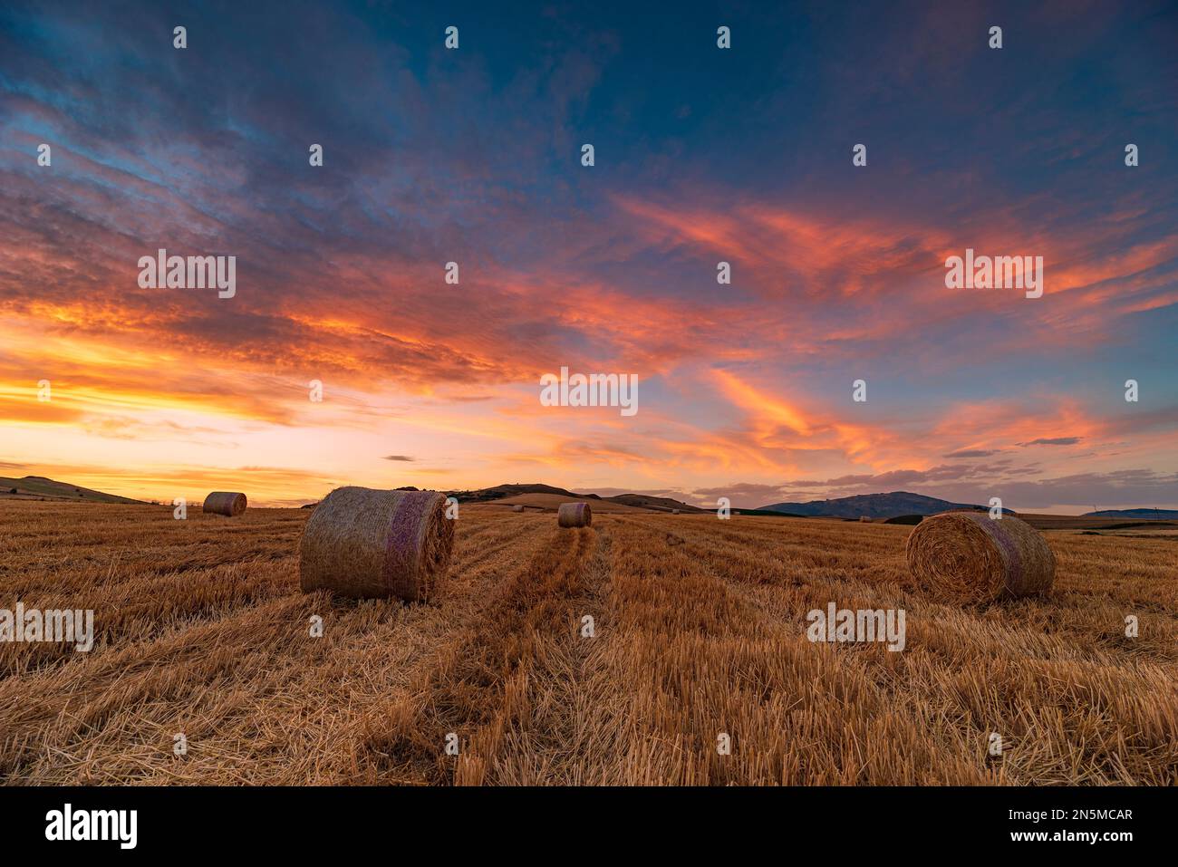 Hay bale field at dusk, Sicily Stock Photo - Alamy