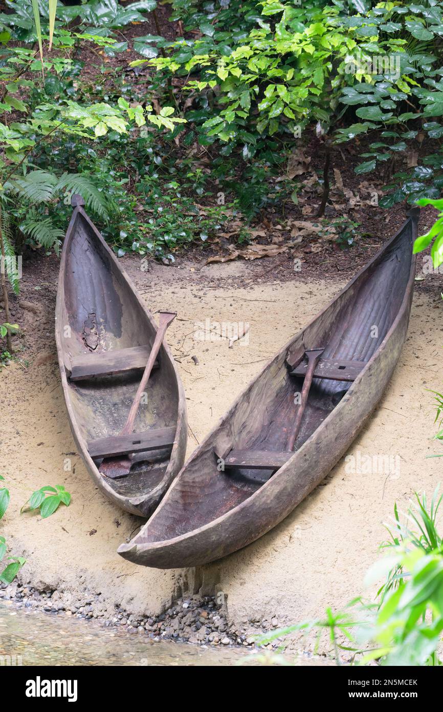 Two canoes made of logs on the bank of a river in the jungle Stock ...