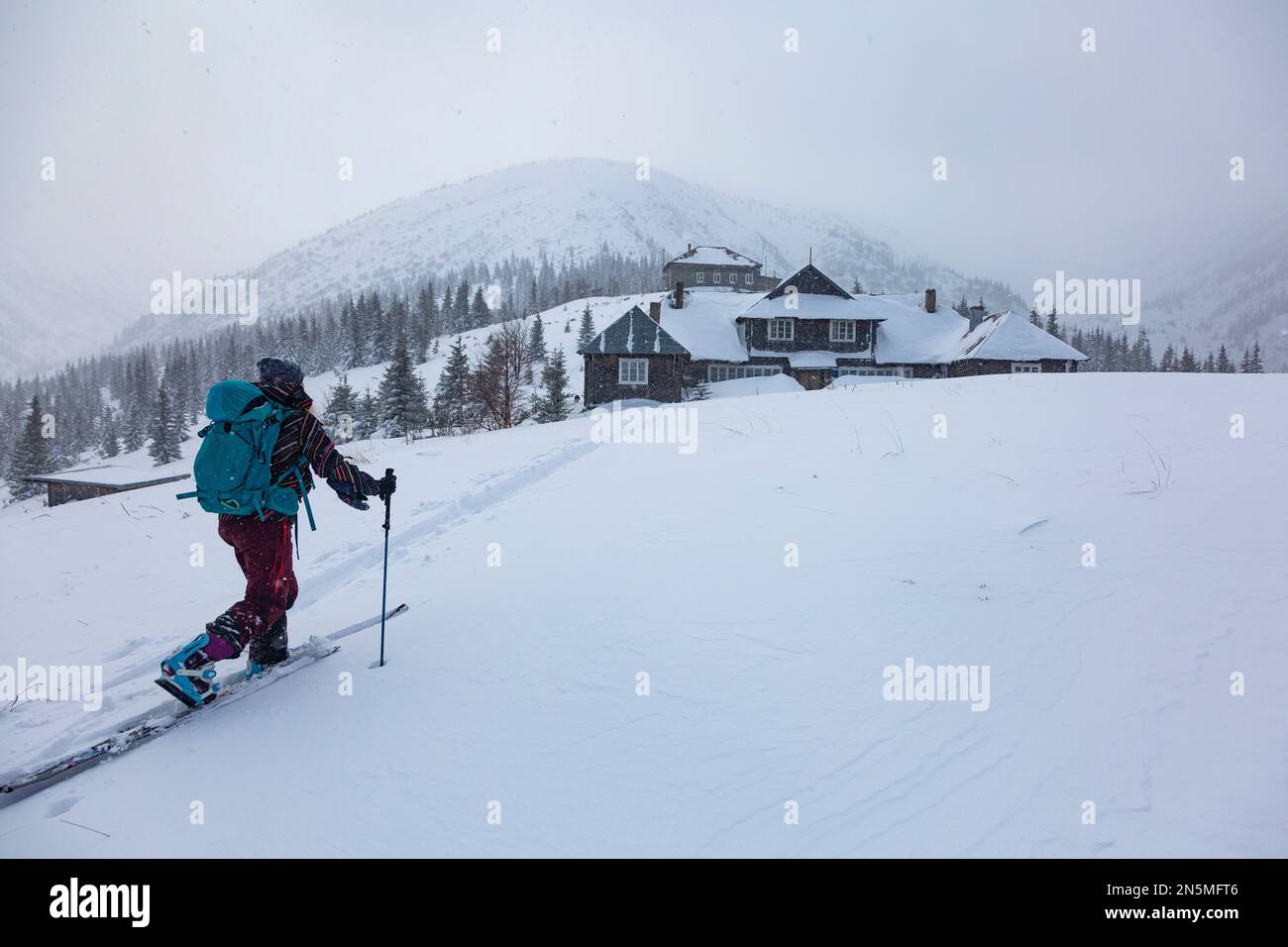 A skier hiker approaches a mountain house in a snow blizzard ...