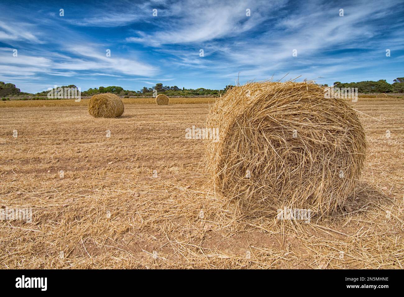Hay bale field, Sicily Stock Photo - Alamy