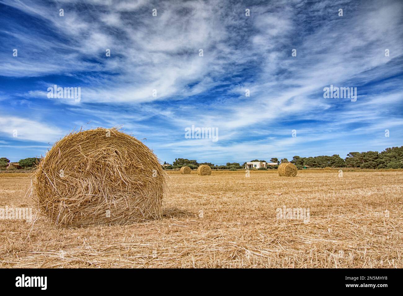 Hay bale field, Sicily Stock Photo - Alamy