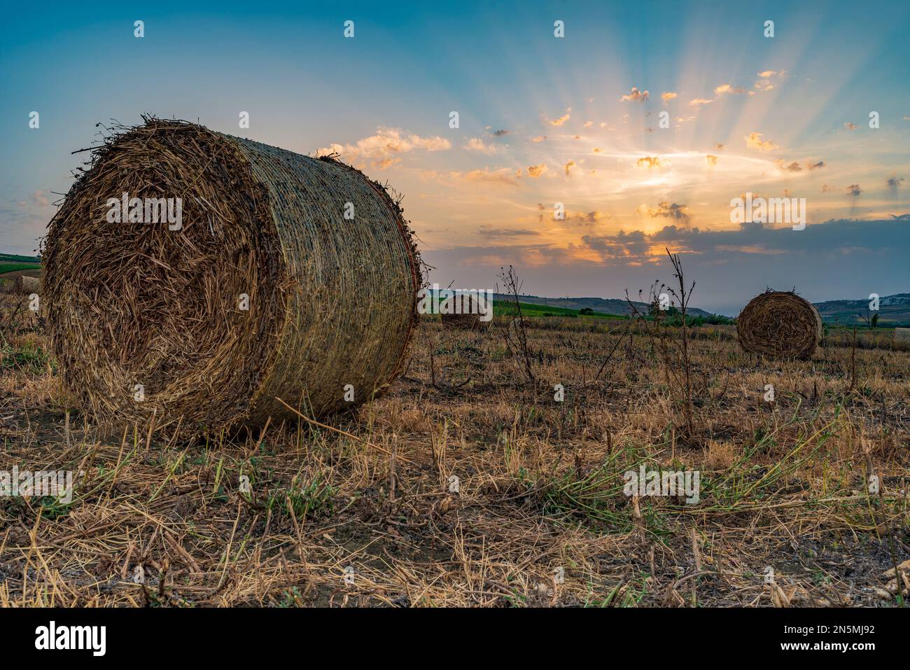 Hay bale field at dusk, Sicily Stock Photo - Alamy