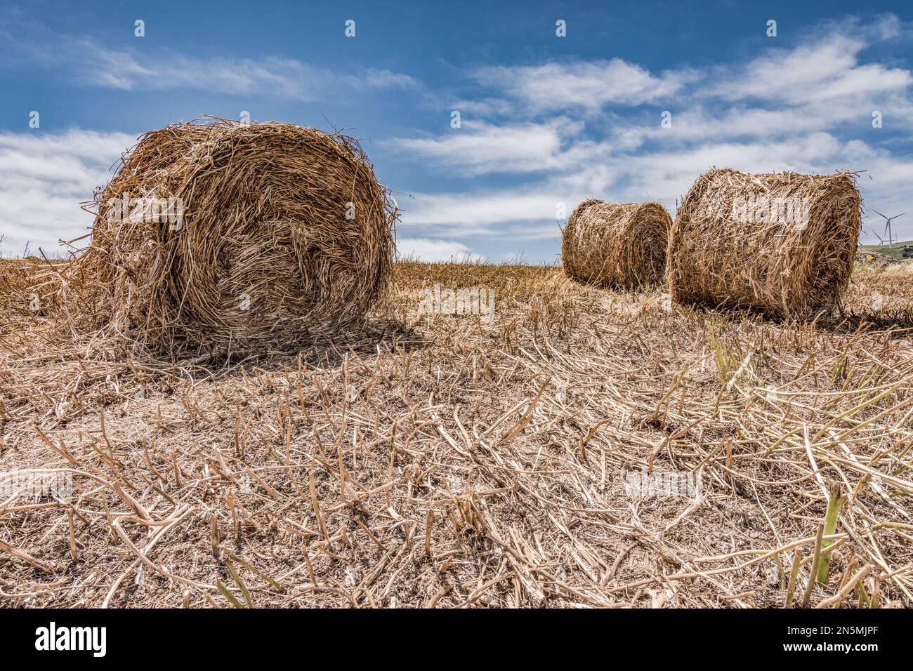 Summer season sicily hi-res stock photography and images - Alamy