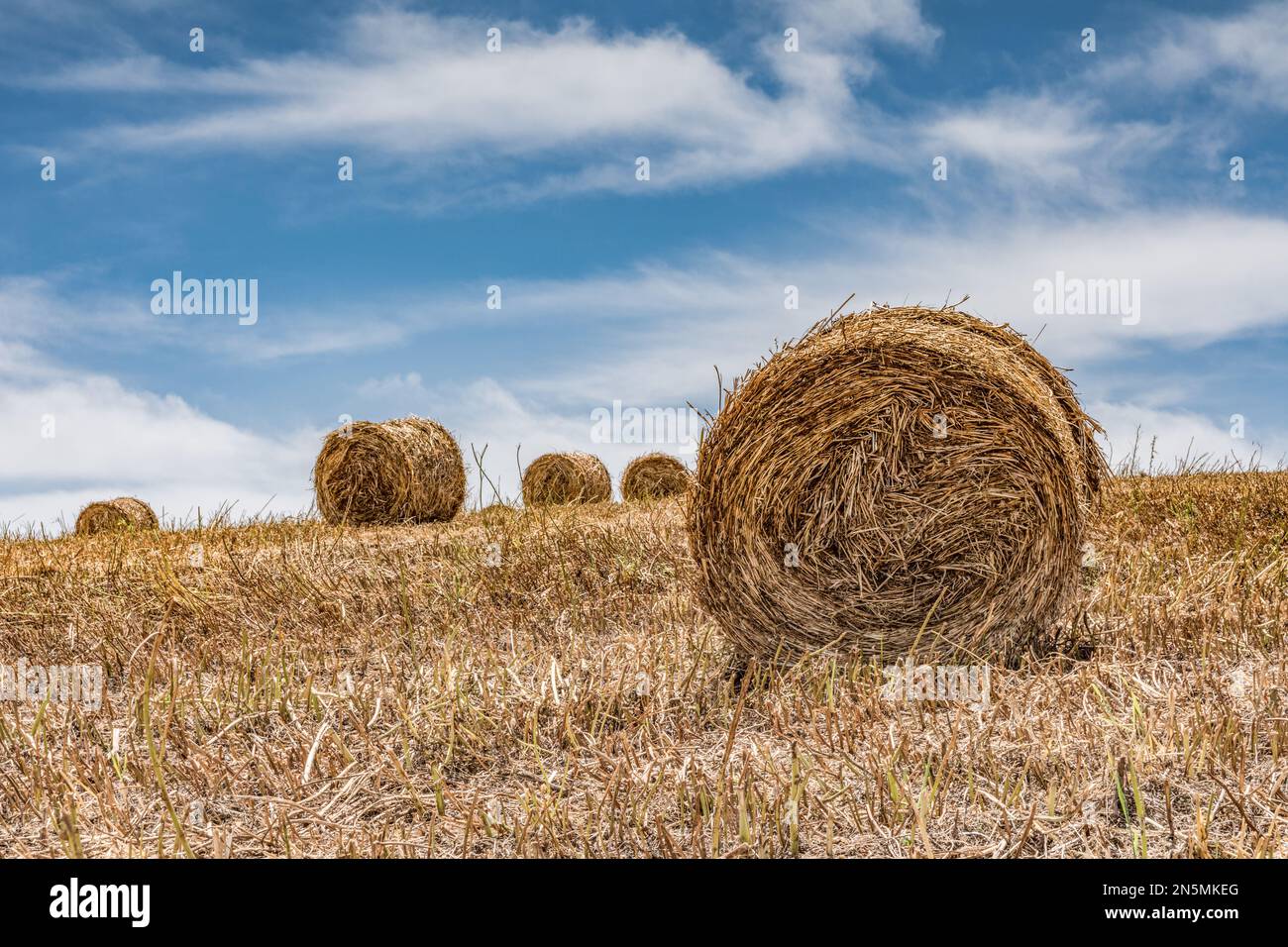Row field hi-res stock photography and images - Alamy