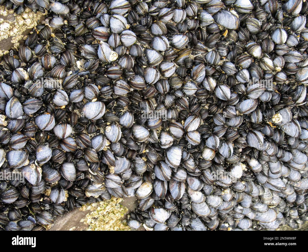 Marine structures hi-res stock photography and images - Alamy