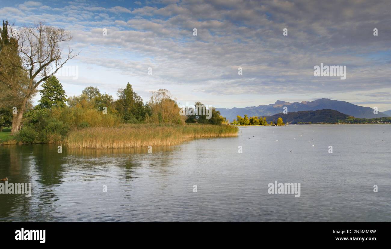 lakeview and nature conservation Stock Photo - Alamy
