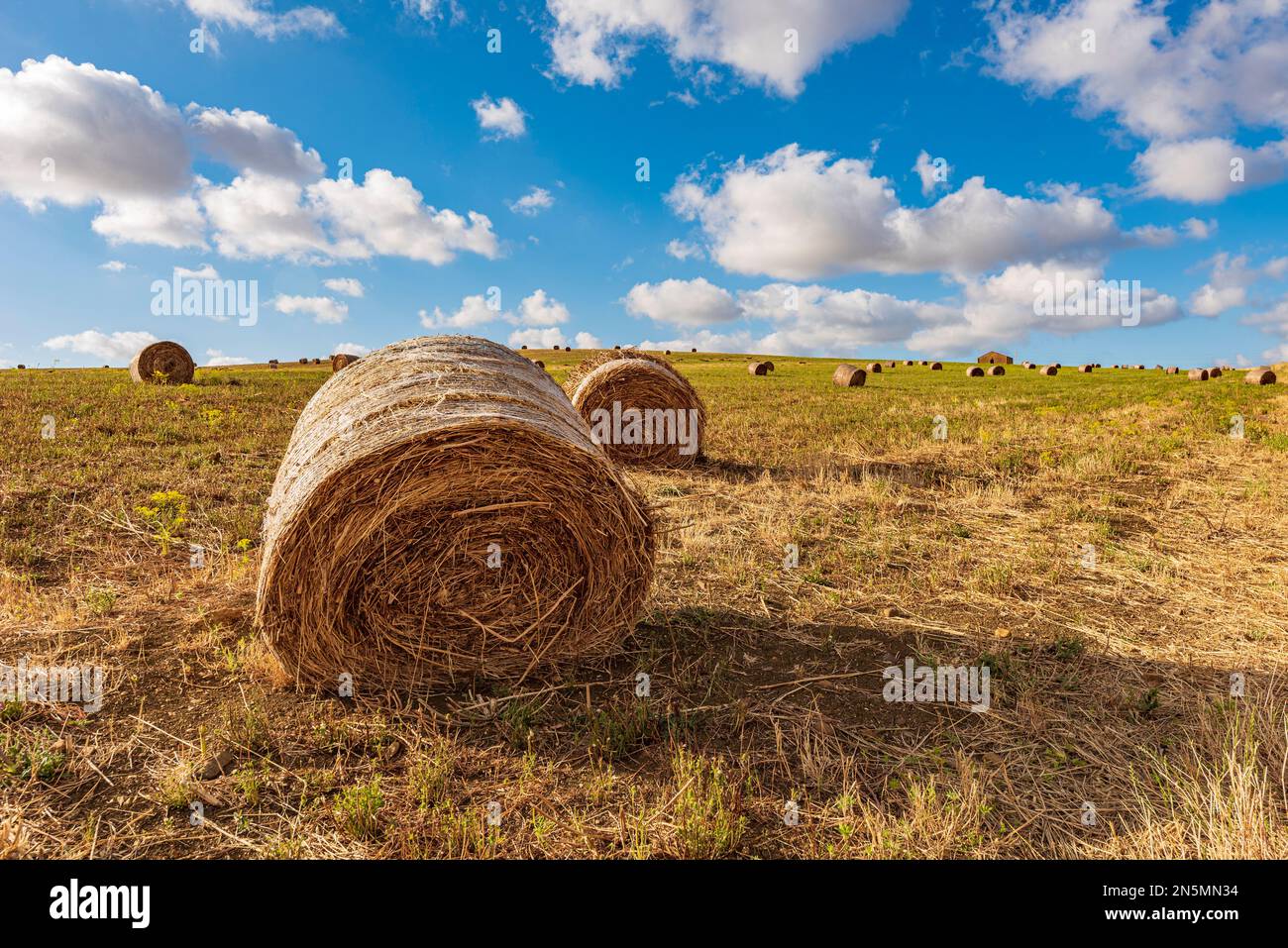 Hay bale field, Sicily Stock Photo - Alamy