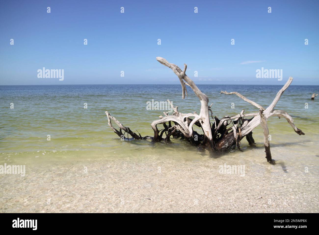 Mexico old people on the beach hi-res stock photography and images - Alamy
