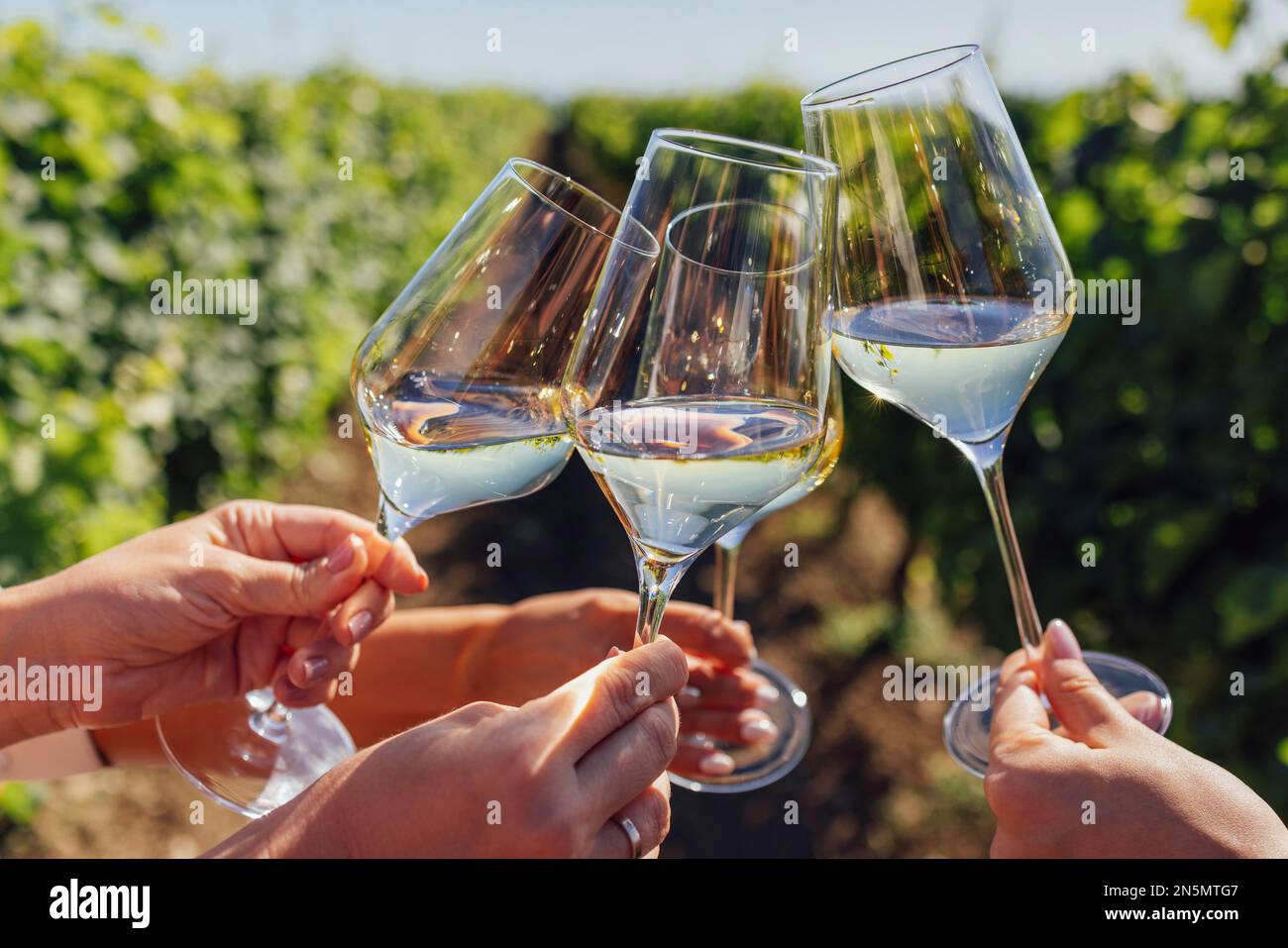 Making a celebratory toast with sparkling wine. Female hands holding ...
