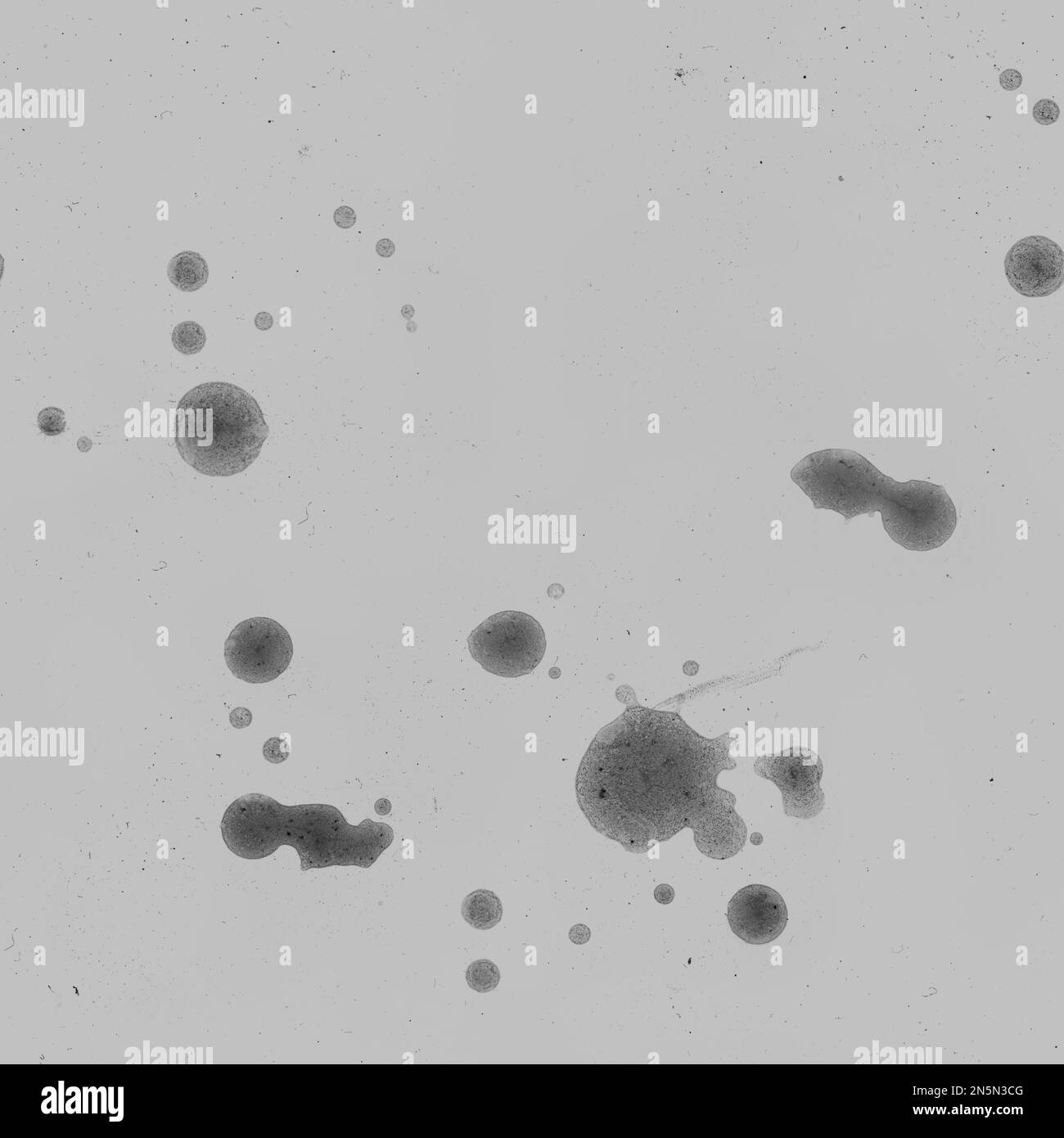 Bump map and displacement map stains Texture, stains bump mapping Stock ...