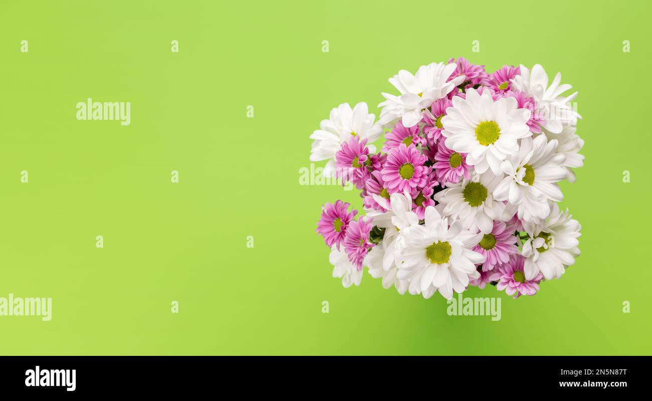 Colorful daisy flowers bouquet. Flat lay on green background with copy ...