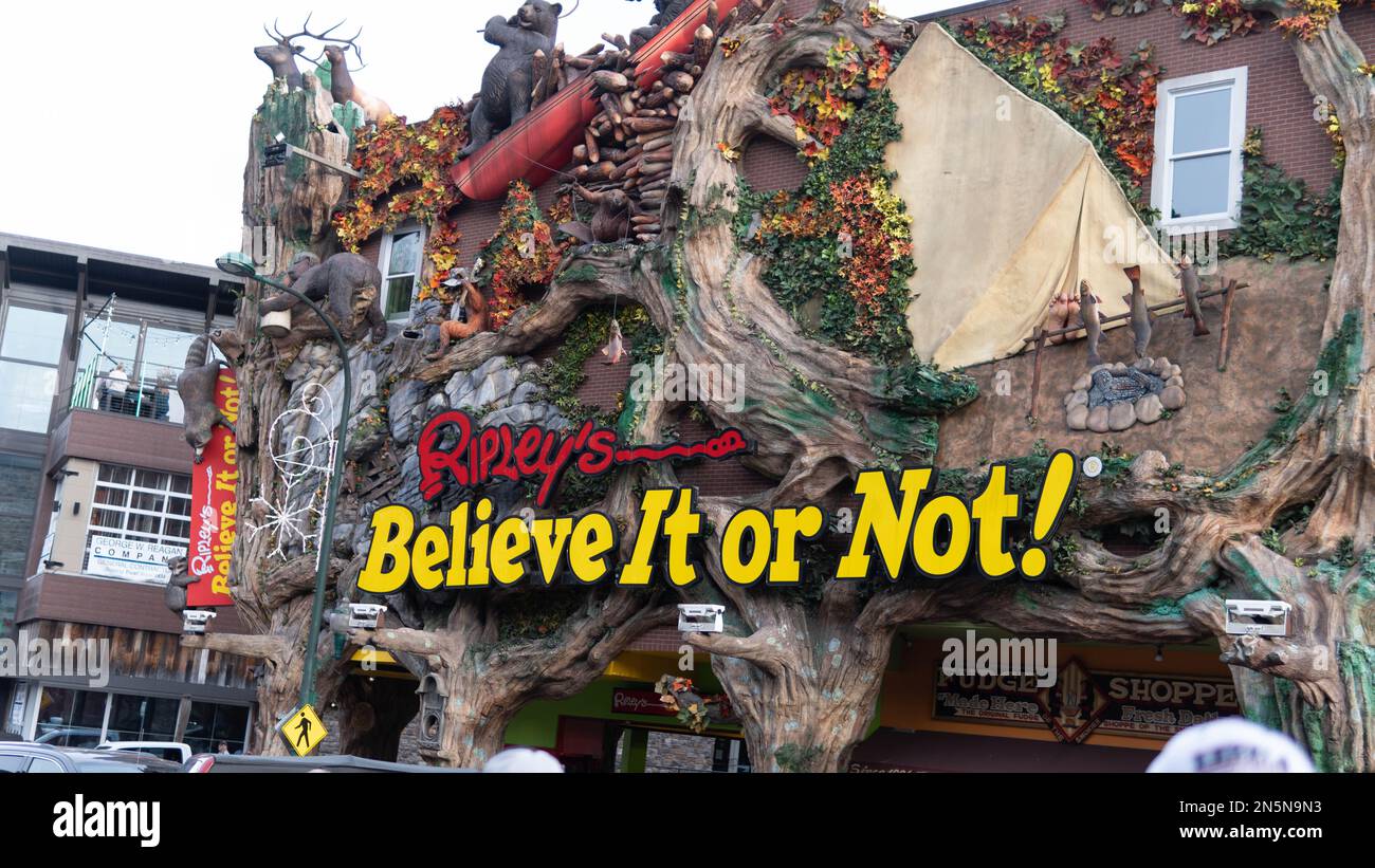 The Ripley's Believe It or Not! American franchise Stock Photo - Alamy