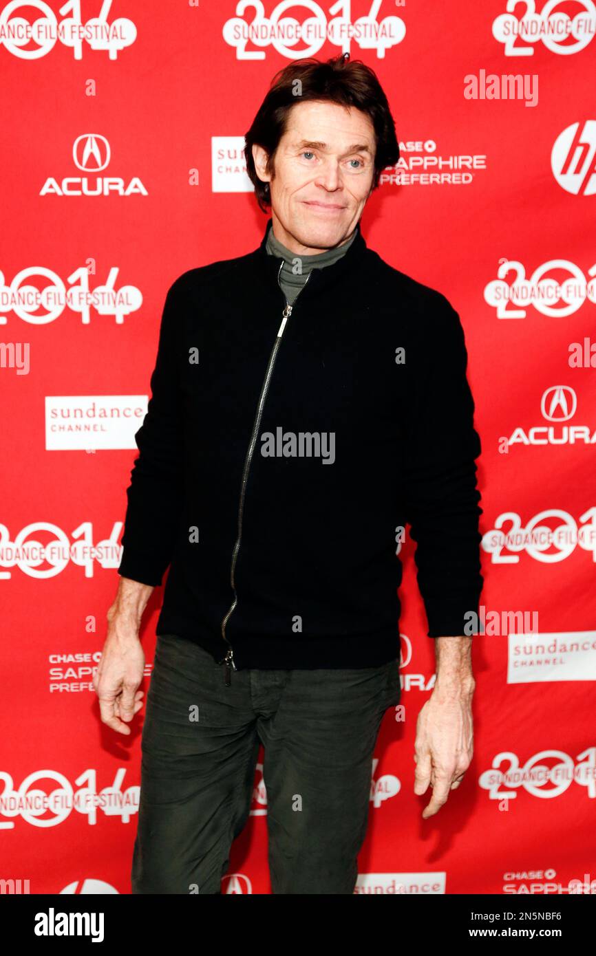 Cast member Willem Dafoe poses at the premiere of the film "A Most ...
