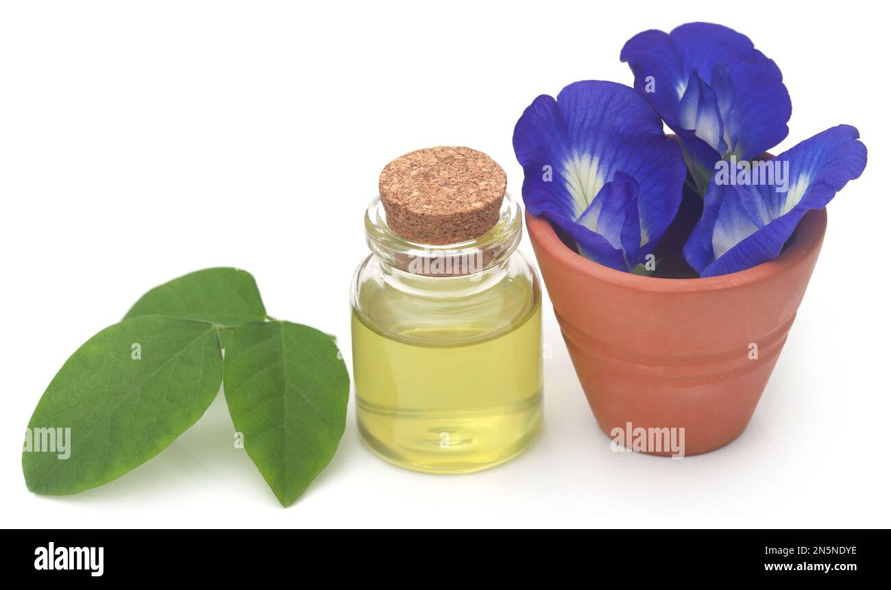 Flower herbal extract in bottle hi-res stock photography and images - Alamy