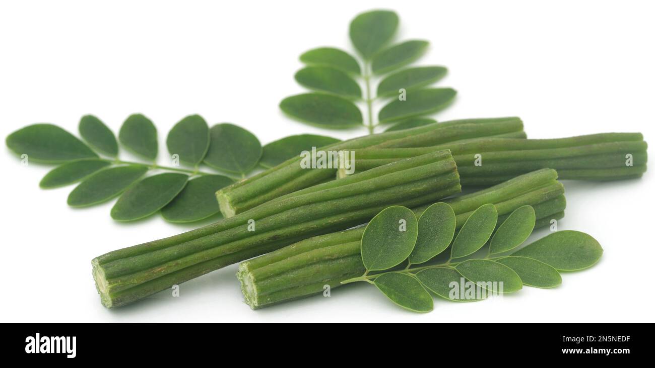 Edible moringa with fresh leaves over white background Stock Photo - Alamy