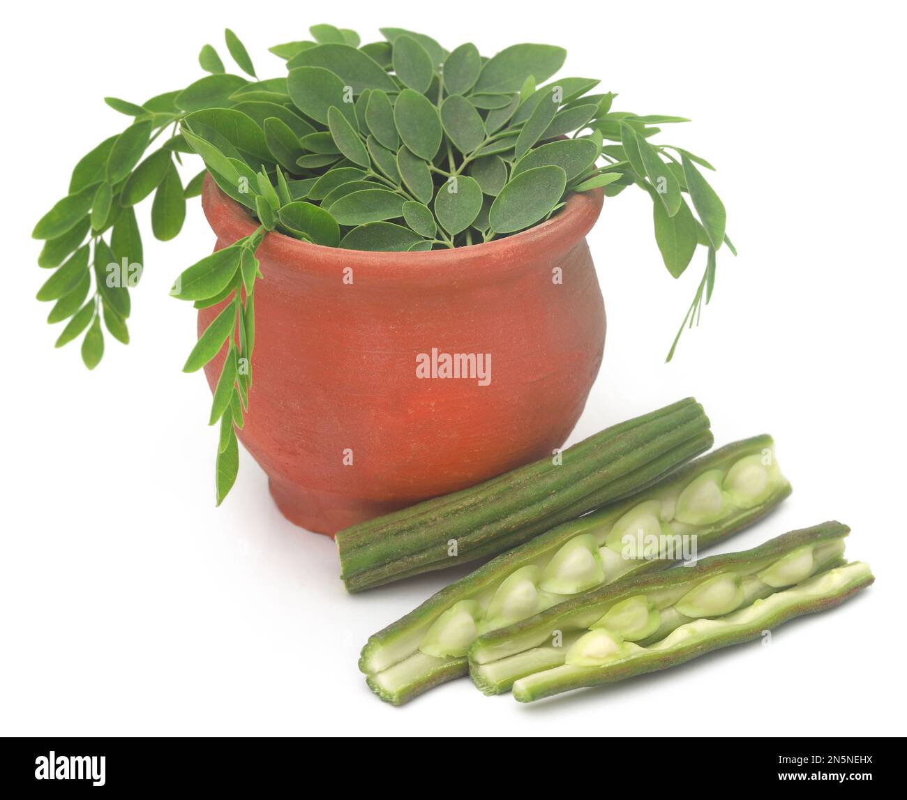 Edible moringa with fresh leaves over white background Stock Photo - Alamy