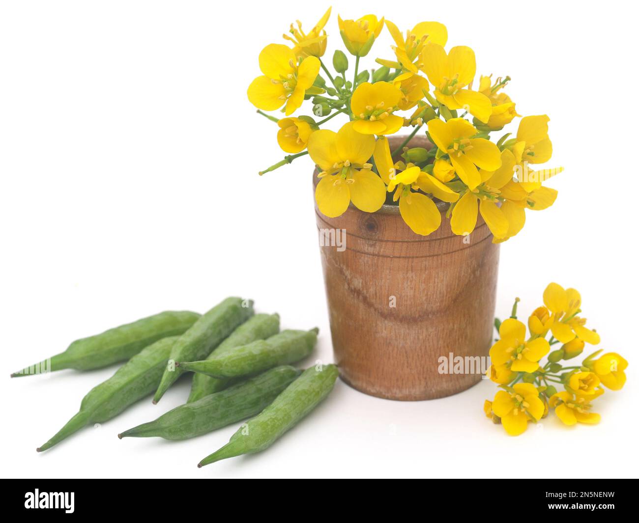 Mustard yellow flowers Cut Out Stock Images & Pictures - Alamy
