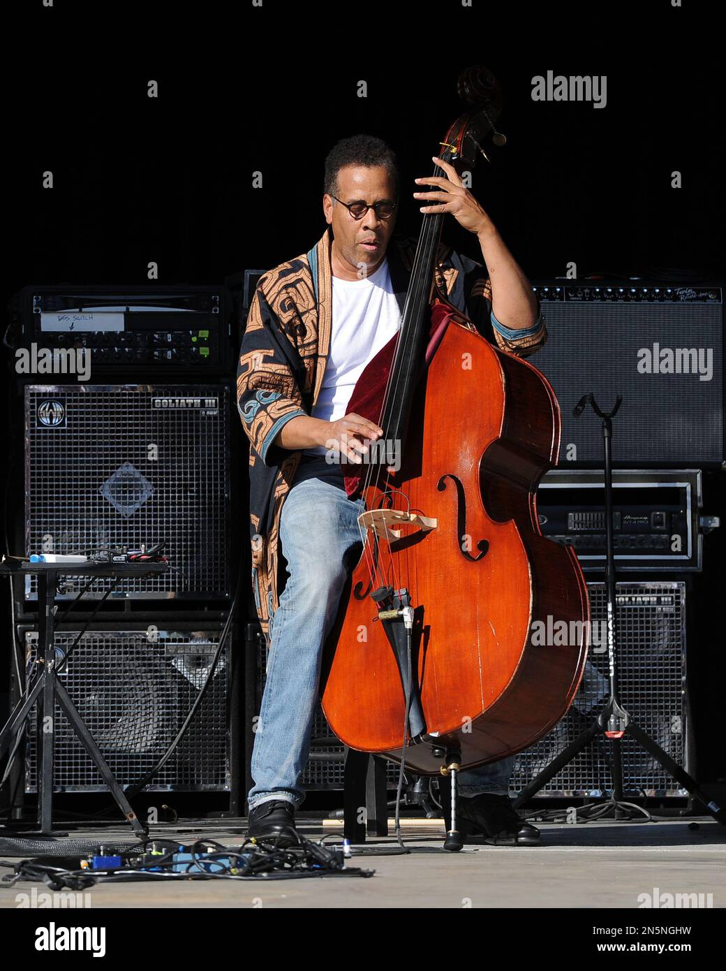 Stanley Clarke performs at the Sunshine Music and Blues Festival at the ...