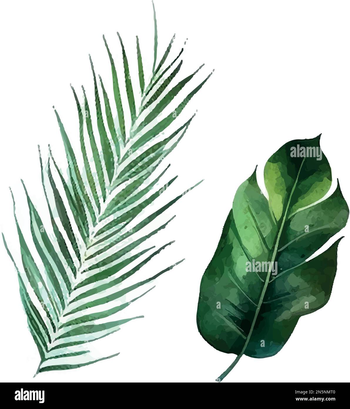 Watercolor tropical palm leaves. Vector illustration Stock Vector Image ...