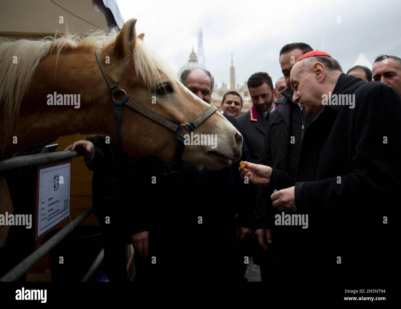 ADDS SAINT ANTHONY THE ABBOT, PATRON SAINT OF DOMESTIC ANIMALS Cardinal ...