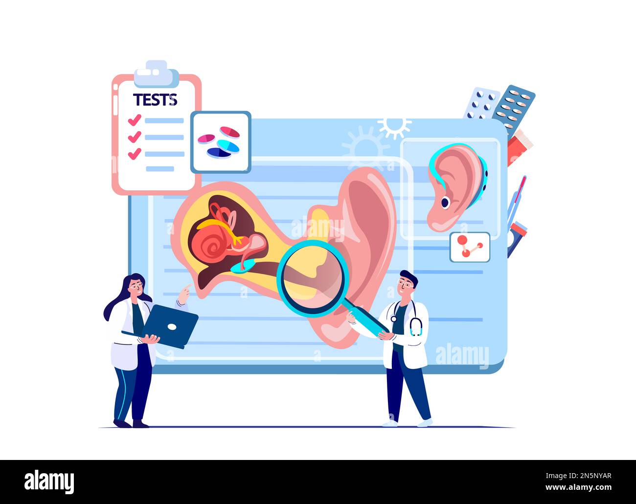 Audiologist Professors Scientists ENT-Doctors Examine Ear Anatomy ...